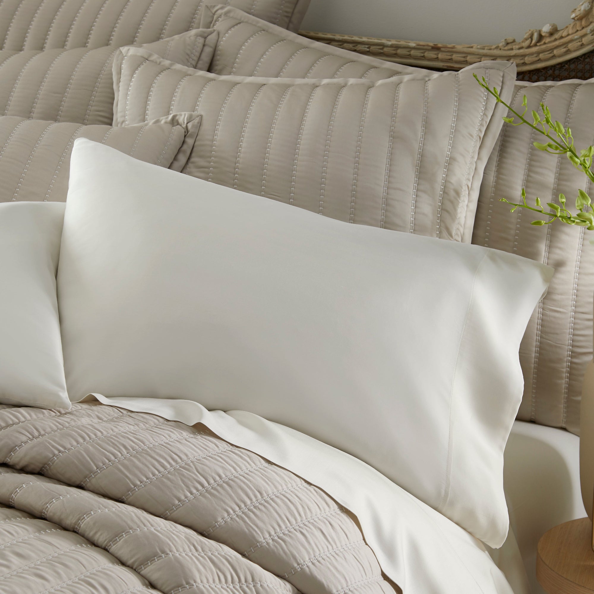 Urban Bamboo Cream Pillowcases Standard by Lili Alessandra