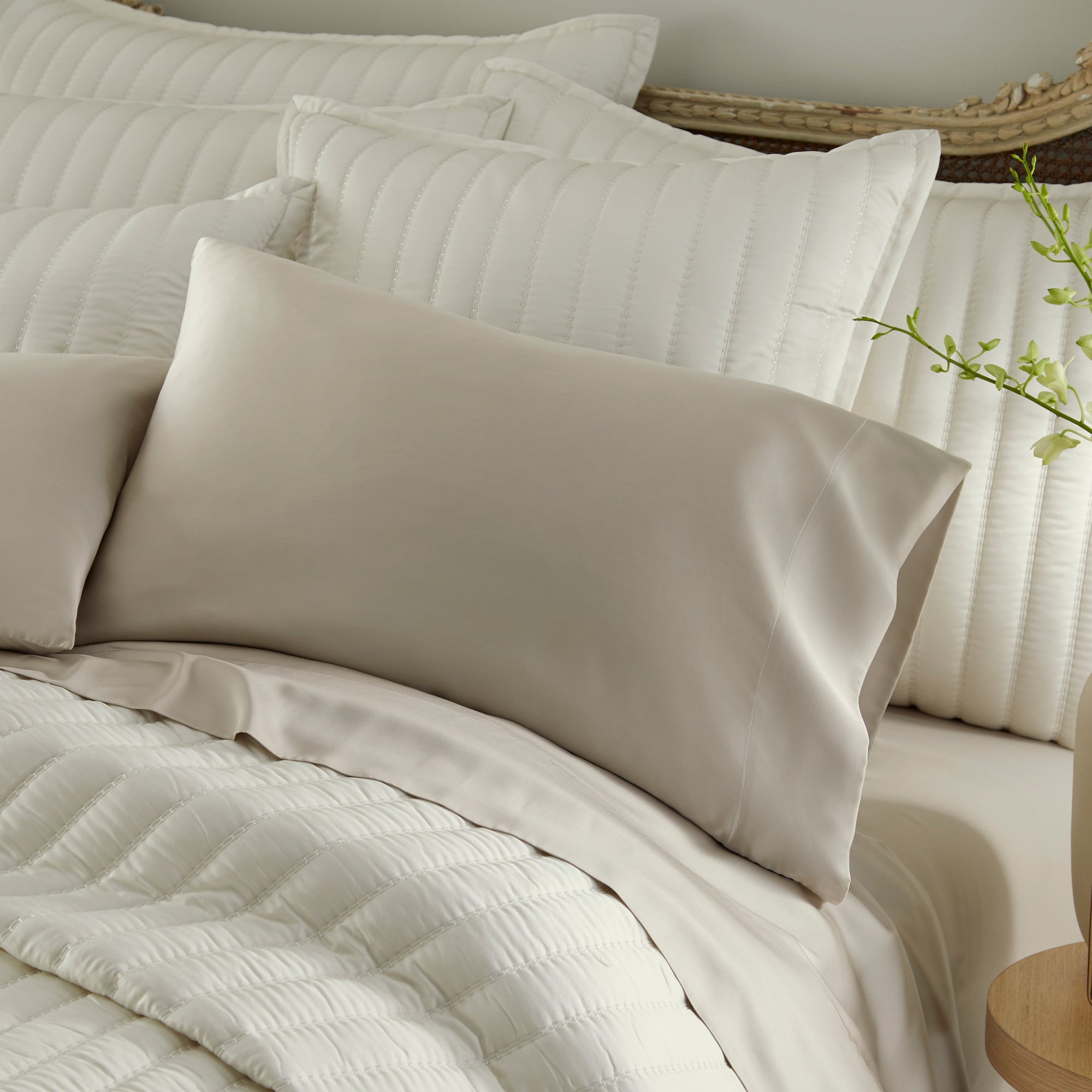 Urban Bamboo Mushroom Pillowcases Standard by Lili Alessandra